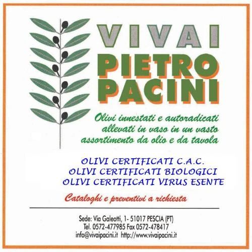 VIVAI PIETRO PACINI SOC. AGR. SEMPLICE DI PACINI MARIO & C. : (Pescia)